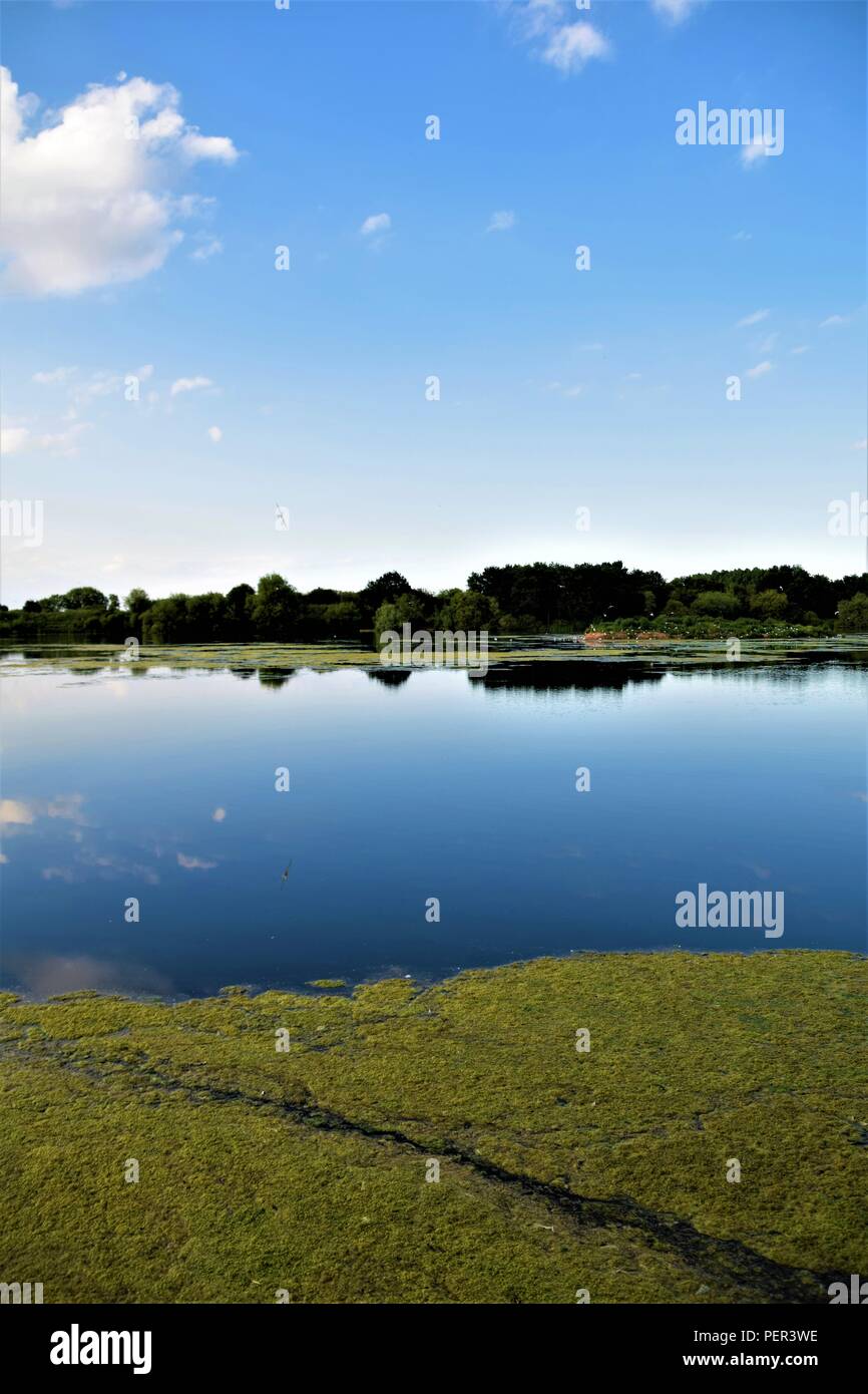 Lake view with horizon line Stock Photo - Alamy