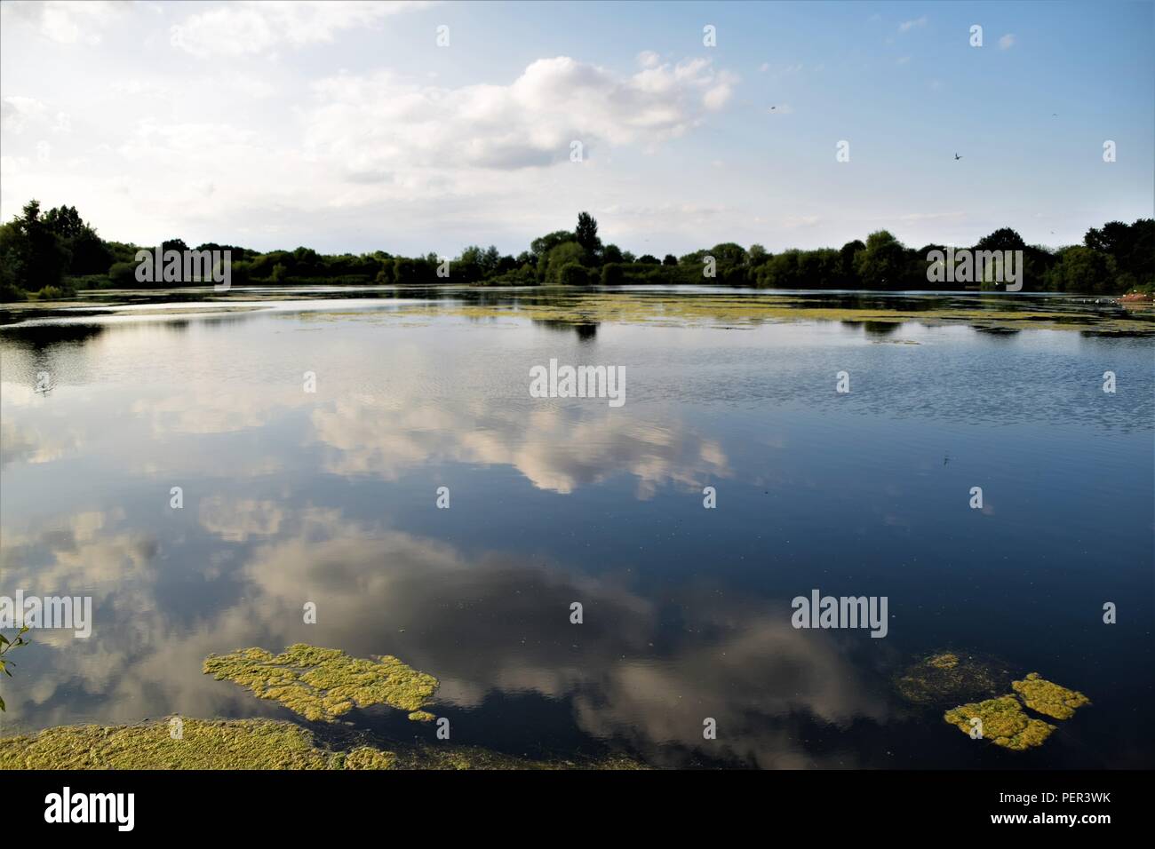 Lake view with horizon line Stock Photo - Alamy