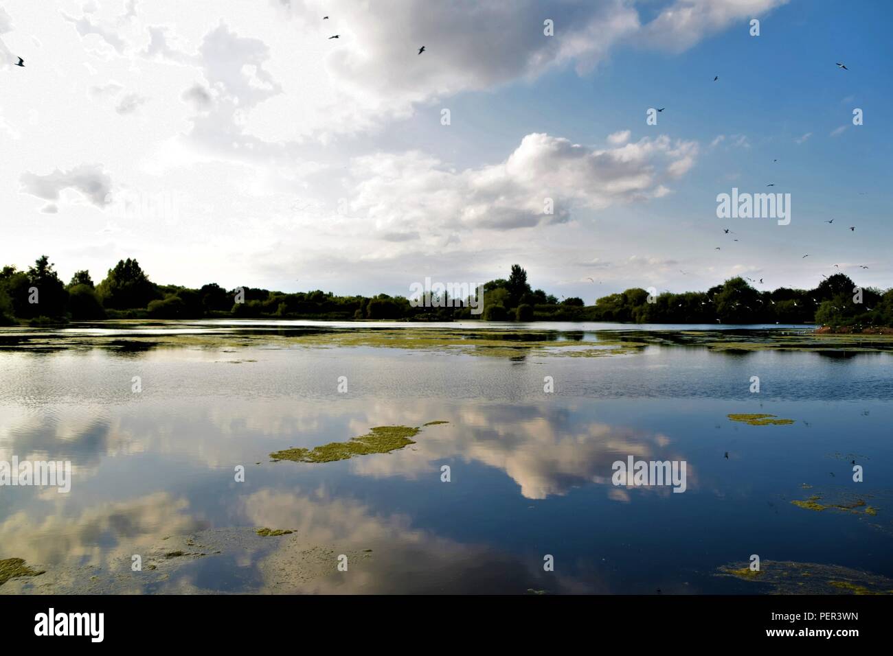 Horizon line view hi-res stock photography and images - Alamy