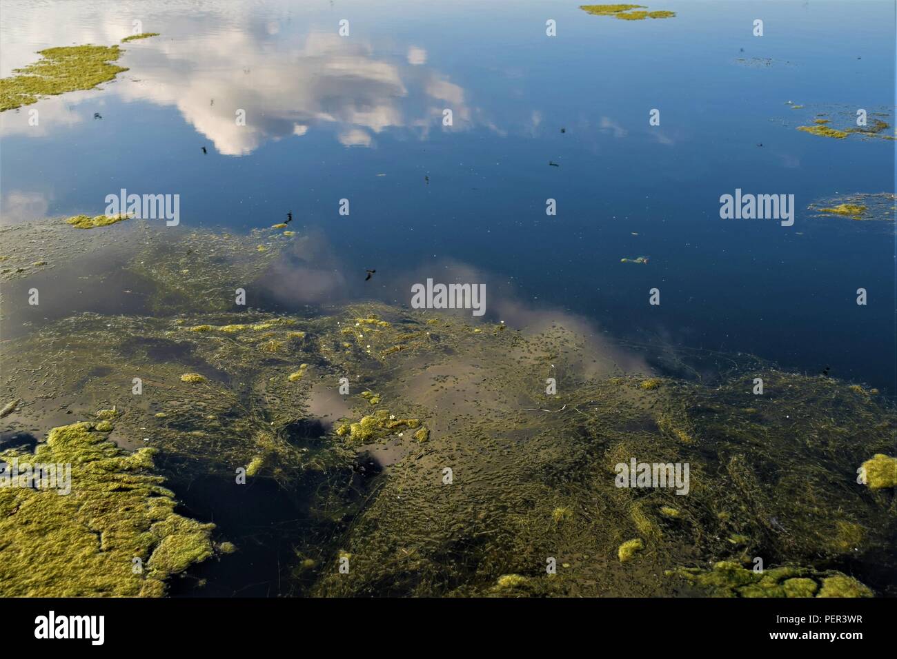 Lake view with horizon line Stock Photo - Alamy