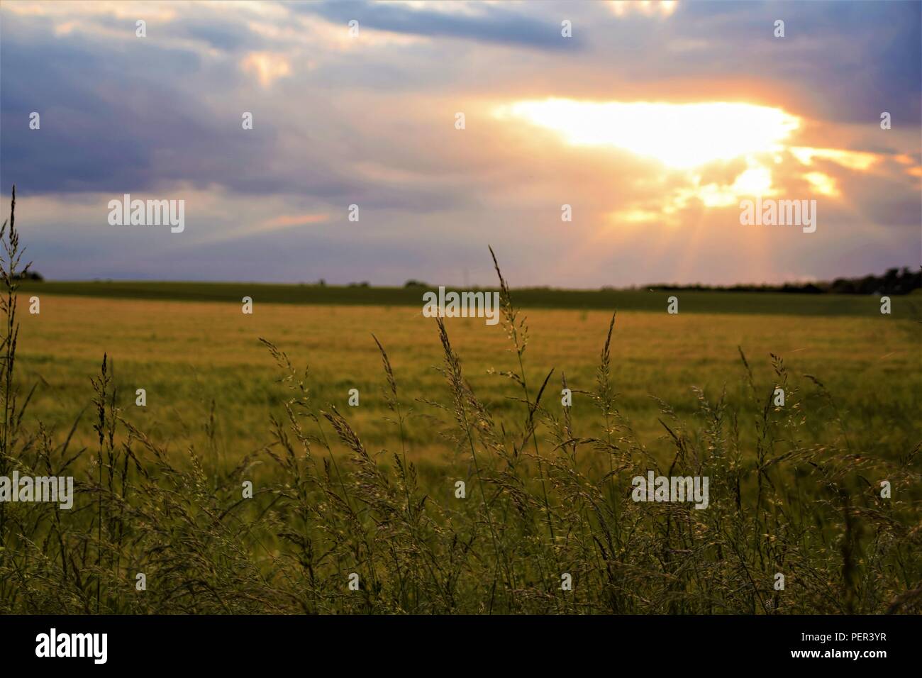Beautiful sunset sunny summer sunrays hi-res stock photography and ...