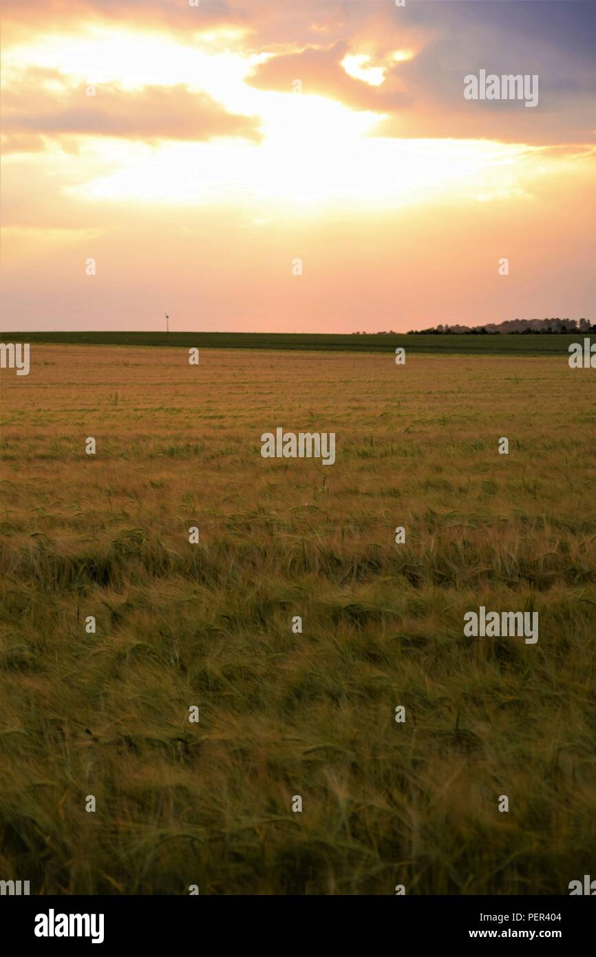 Countryside sunrays hi-res stock photography and images - Alamy