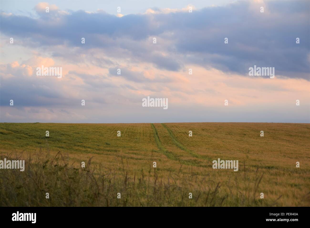 Sunset over England countryside Stock Photo - Alamy