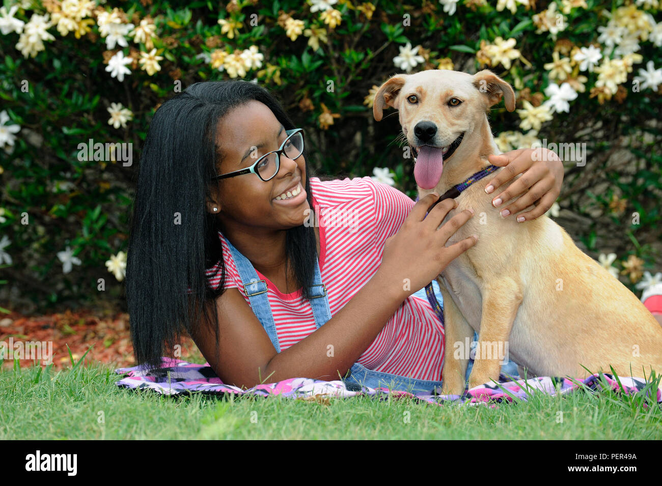 African american girl with dog hi-res stock photography and images - Alamy
