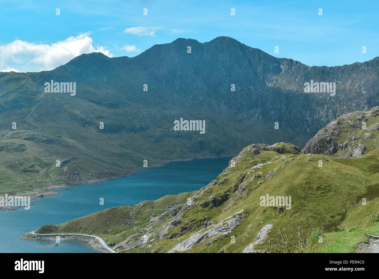 Snowdon fauna hi-res stock photography and images - Alamy