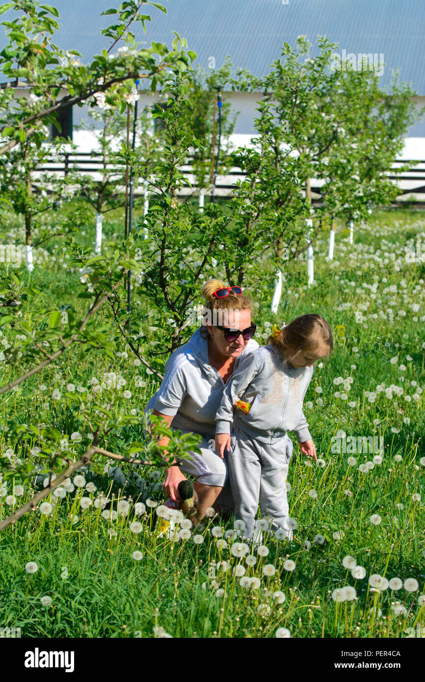 A little girl and an adult woman planted young trees. Young trees bloom ...