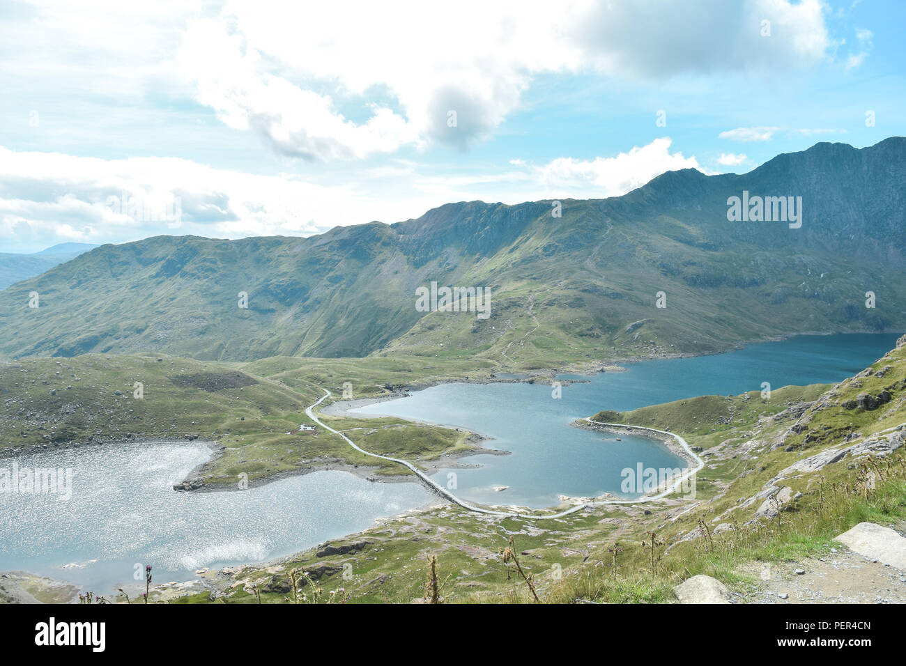 Snowdon fauna hi-res stock photography and images - Alamy
