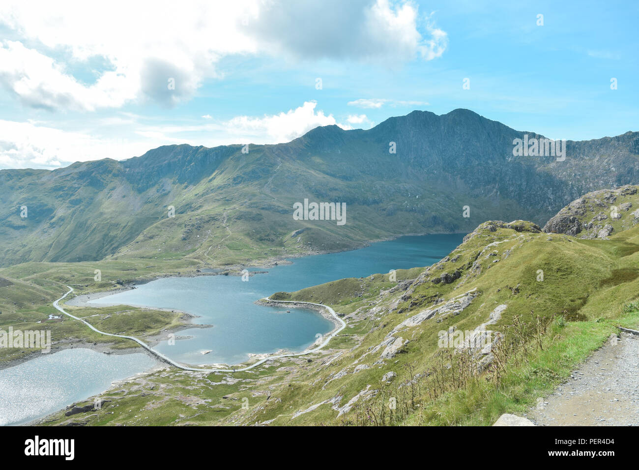 Snowdon fauna hi-res stock photography and images - Alamy