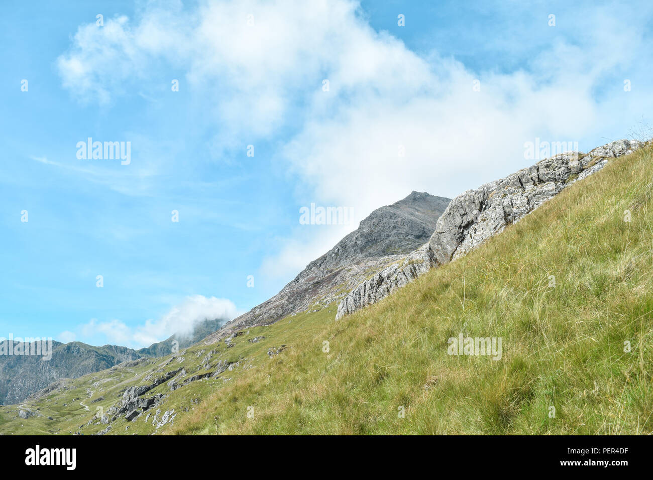 Snowdon fauna hi-res stock photography and images - Alamy