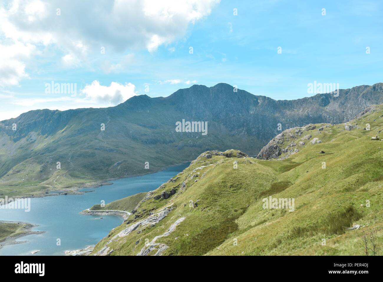 Snowdon fauna hi-res stock photography and images - Alamy