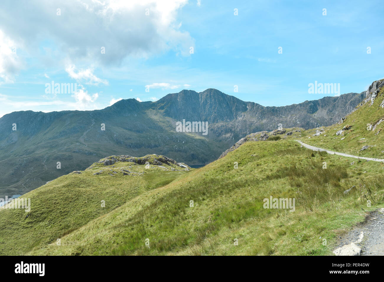 Snowdon fauna hi-res stock photography and images - Alamy