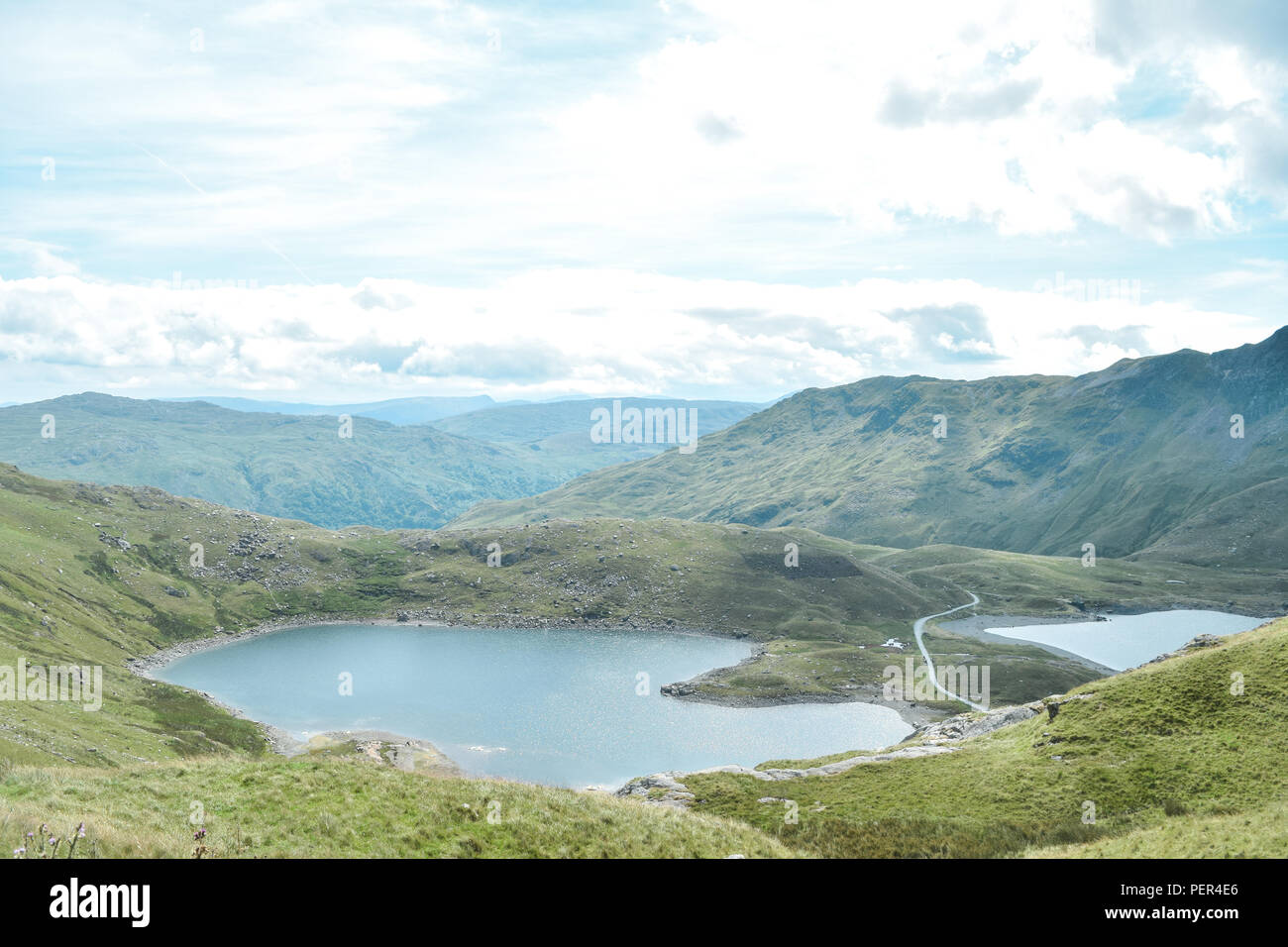 Snowdon fauna hi-res stock photography and images - Alamy