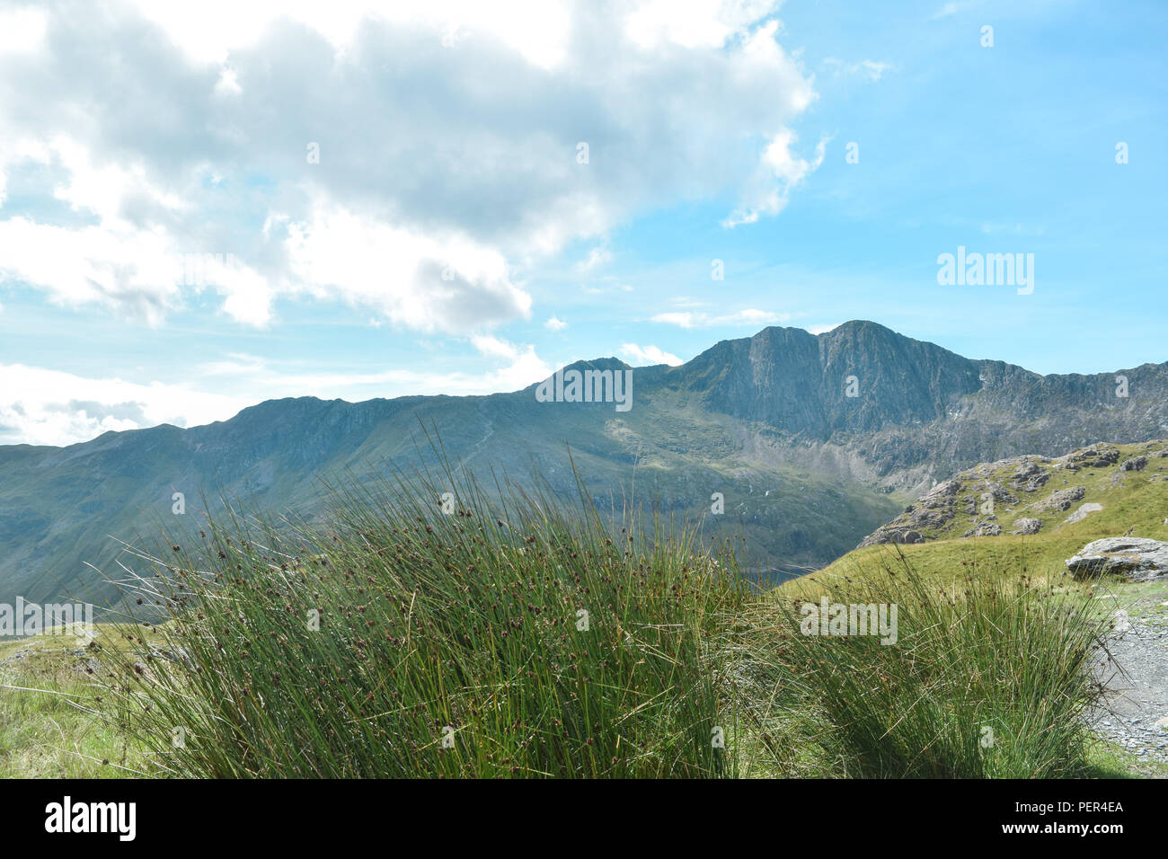 Snowdon fauna hi-res stock photography and images - Alamy