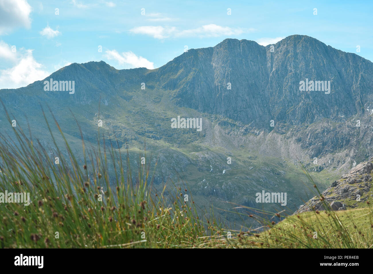 Snowdon fauna hi-res stock photography and images - Alamy
