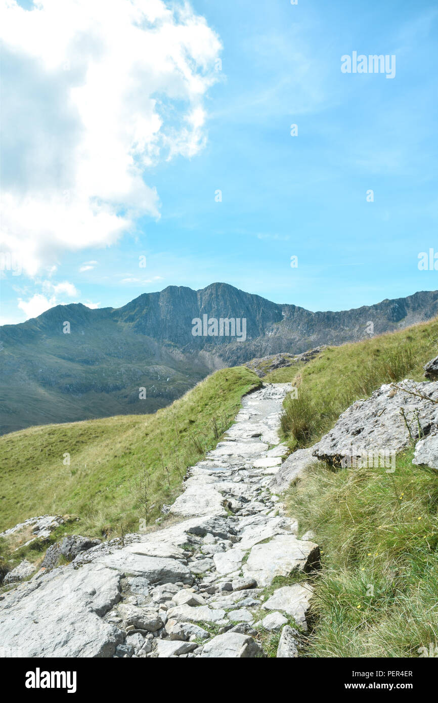 Snowdonia national park flora hi-res stock photography and images - Alamy