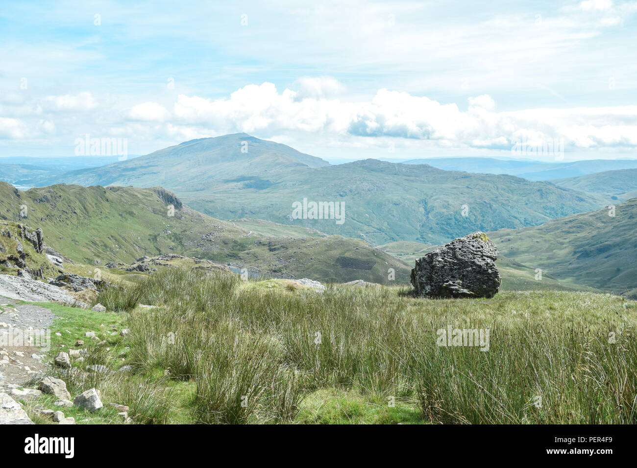 Snowdon Fauna High Resolution Stock Photography and Images - Alamy