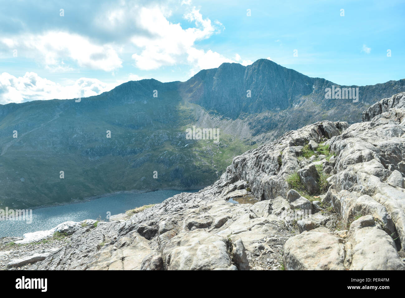 Snowdon fauna hi-res stock photography and images - Alamy
