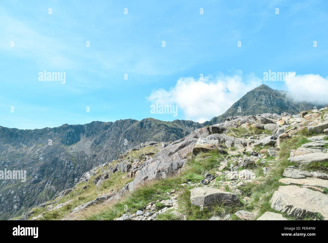 Snowdon fauna hi-res stock photography and images - Alamy