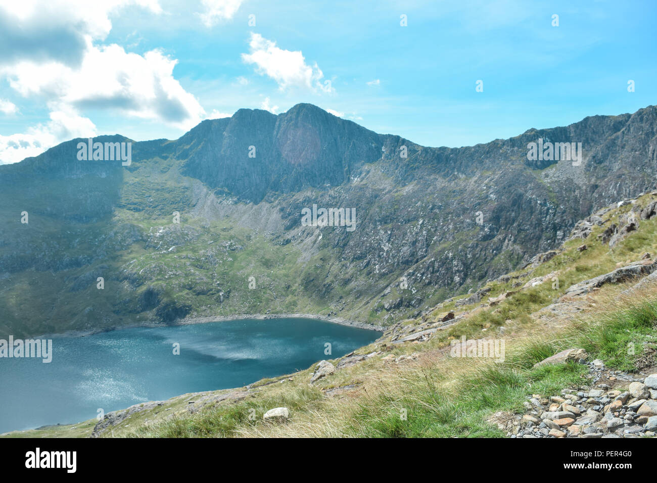 Snowdon fauna hi-res stock photography and images - Alamy