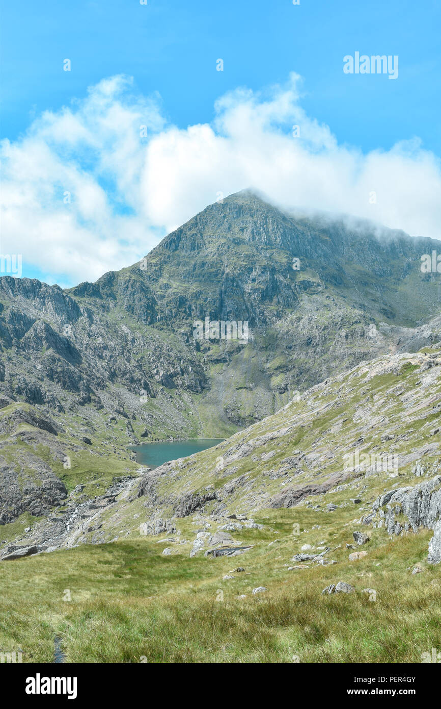 Snowdon Fauna High Resolution Stock Photography and Images - Alamy