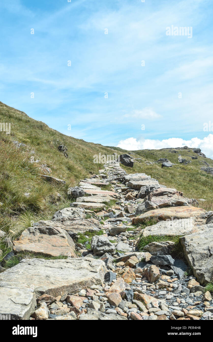 Snowdonia national park flora hi-res stock photography and images - Alamy