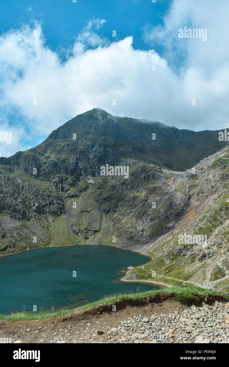 Snowdon fauna hi-res stock photography and images - Alamy