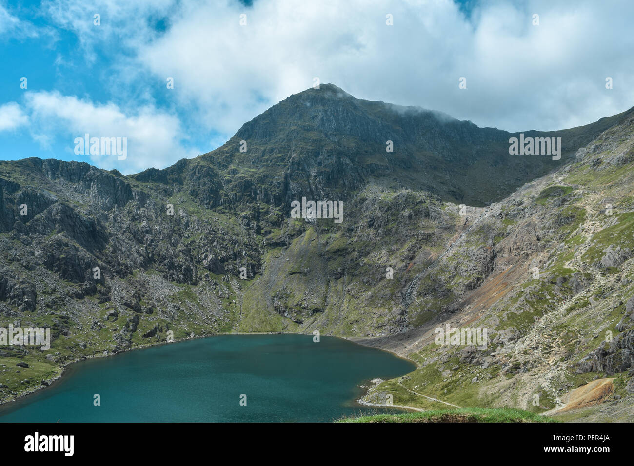 Snowdon Fauna High Resolution Stock Photography and Images - Alamy