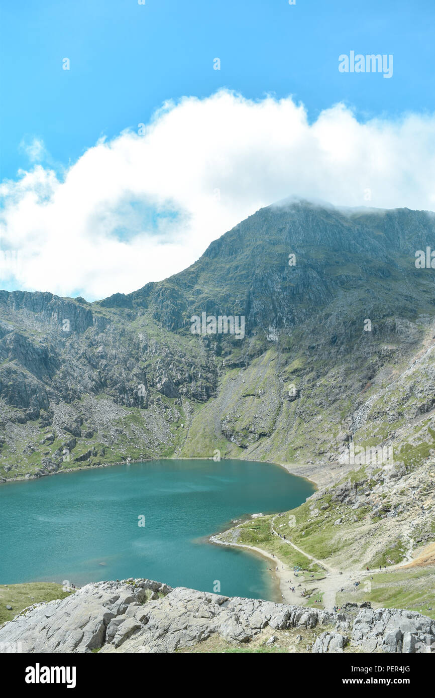 Snowdon fauna hi-res stock photography and images - Alamy