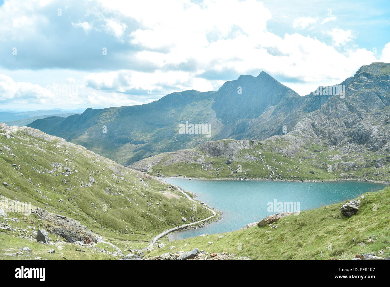 Snowdon Fauna High Resolution Stock Photography and Images - Alamy