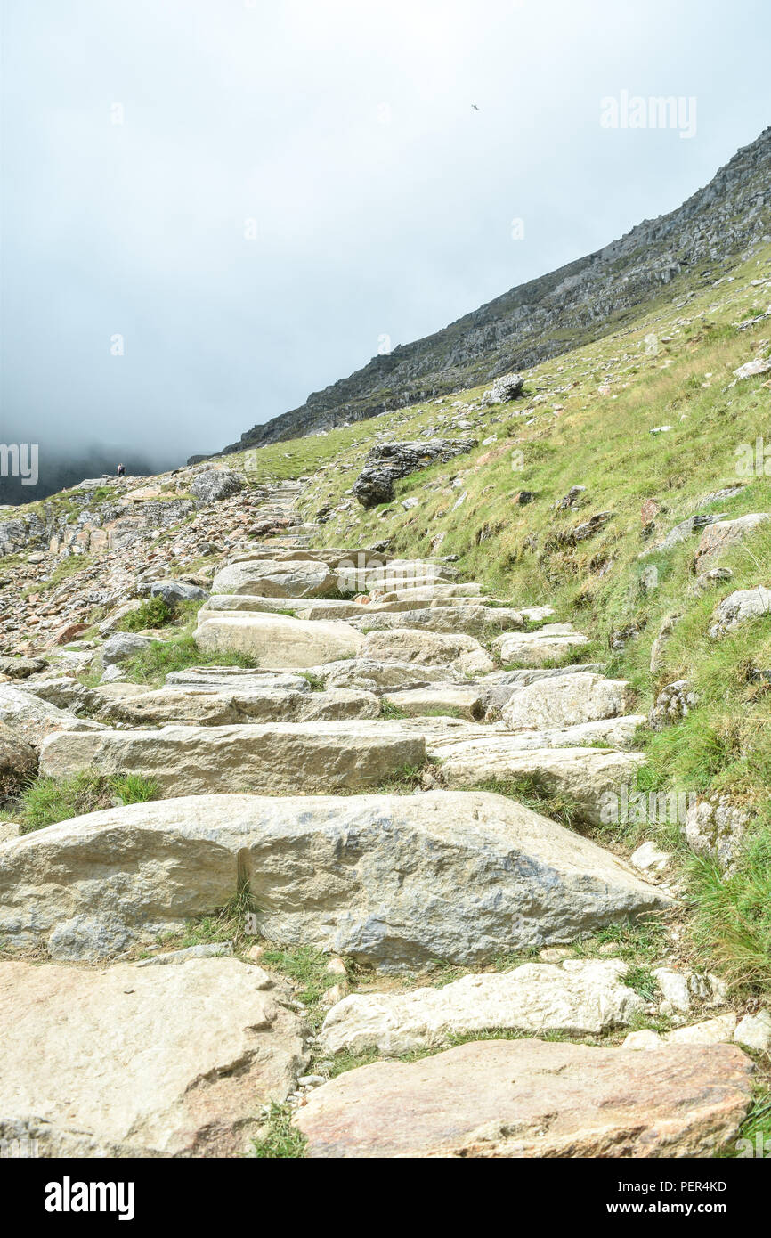 Snowdon fauna hi-res stock photography and images - Alamy