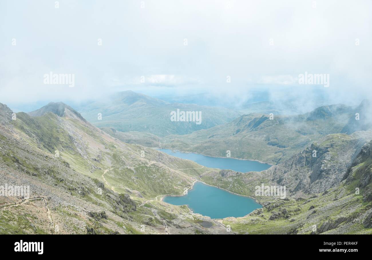 Snowdon fauna hi-res stock photography and images - Alamy