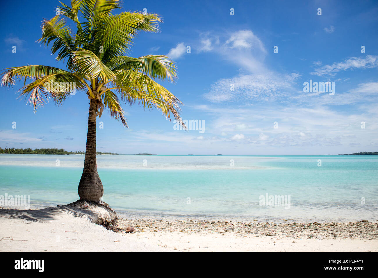 Palm tree, lagoon and island Stock Photo - Alamy