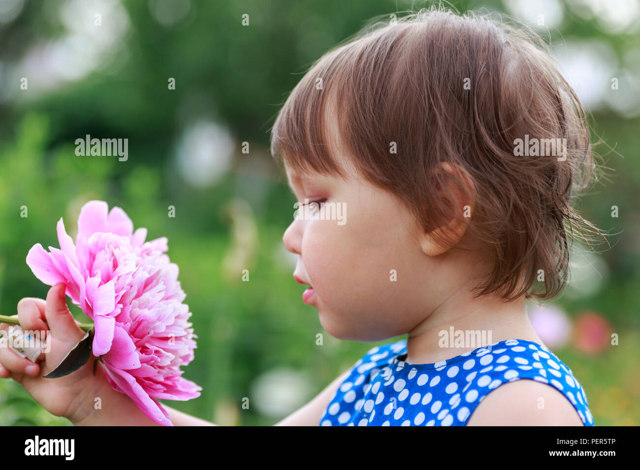 Adorable little girl sniffing purple flowers Stock Photo - Alamy