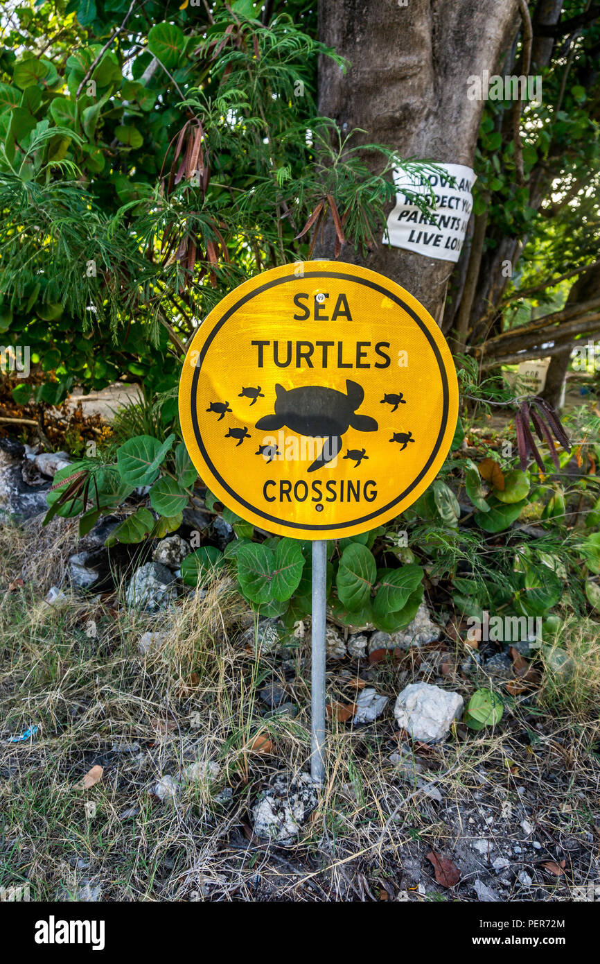 Turtle warning sign hi-res stock photography and images - Alamy