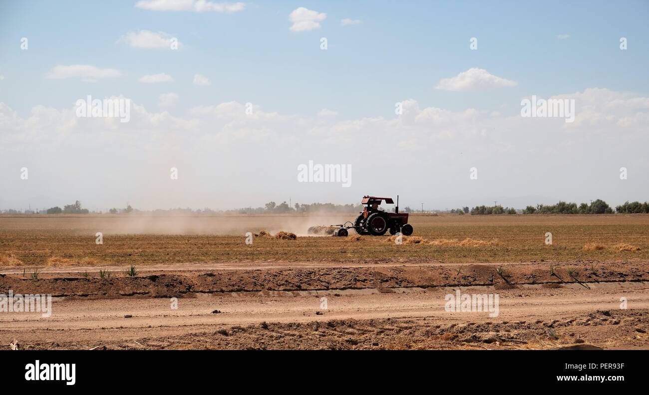 International Harvester tractor pulling farm implement for raking hay ...