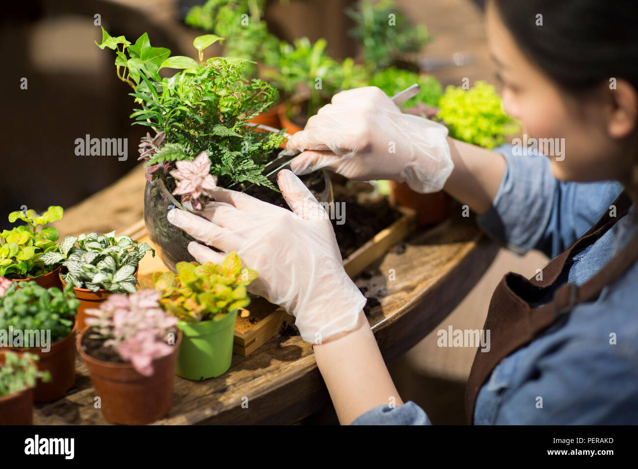 Chinese woman working in a flower shop hi-res stock photography and ...