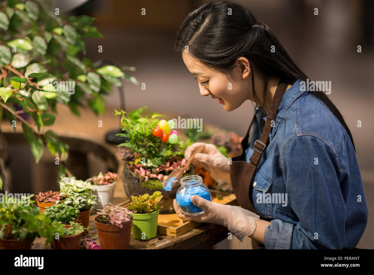 Woman decorating plant pot hi-res stock photography and images - Alamy