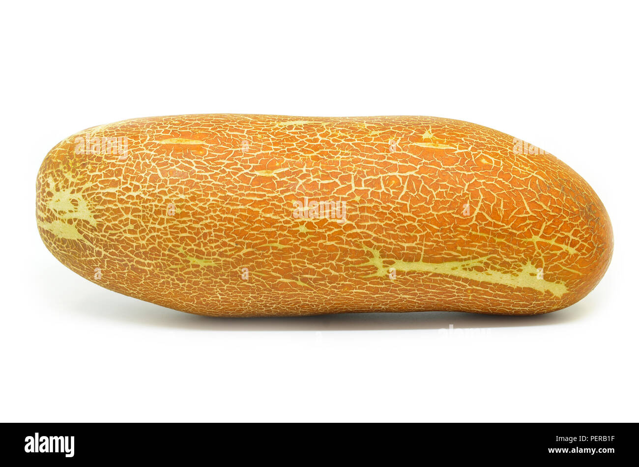 Chinese yellow cucumber on white background Stock Photo - Alamy