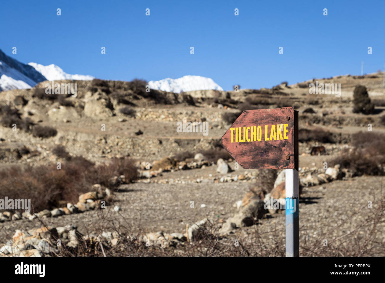 Tilicho lake hi-res stock photography and images - Alamy