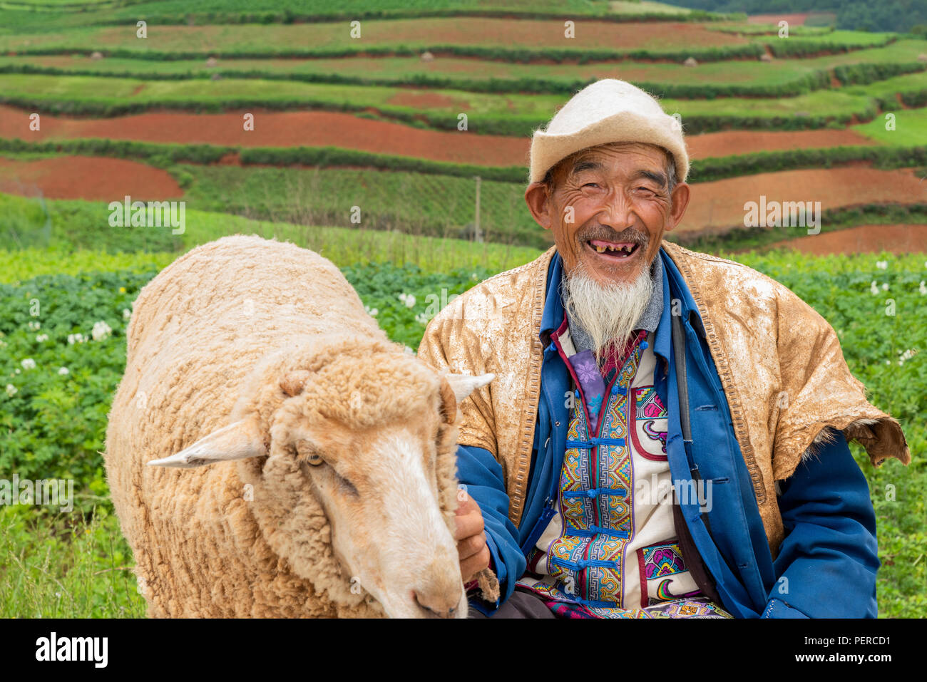 Specialised farming hi-res stock photography and images - Alamy