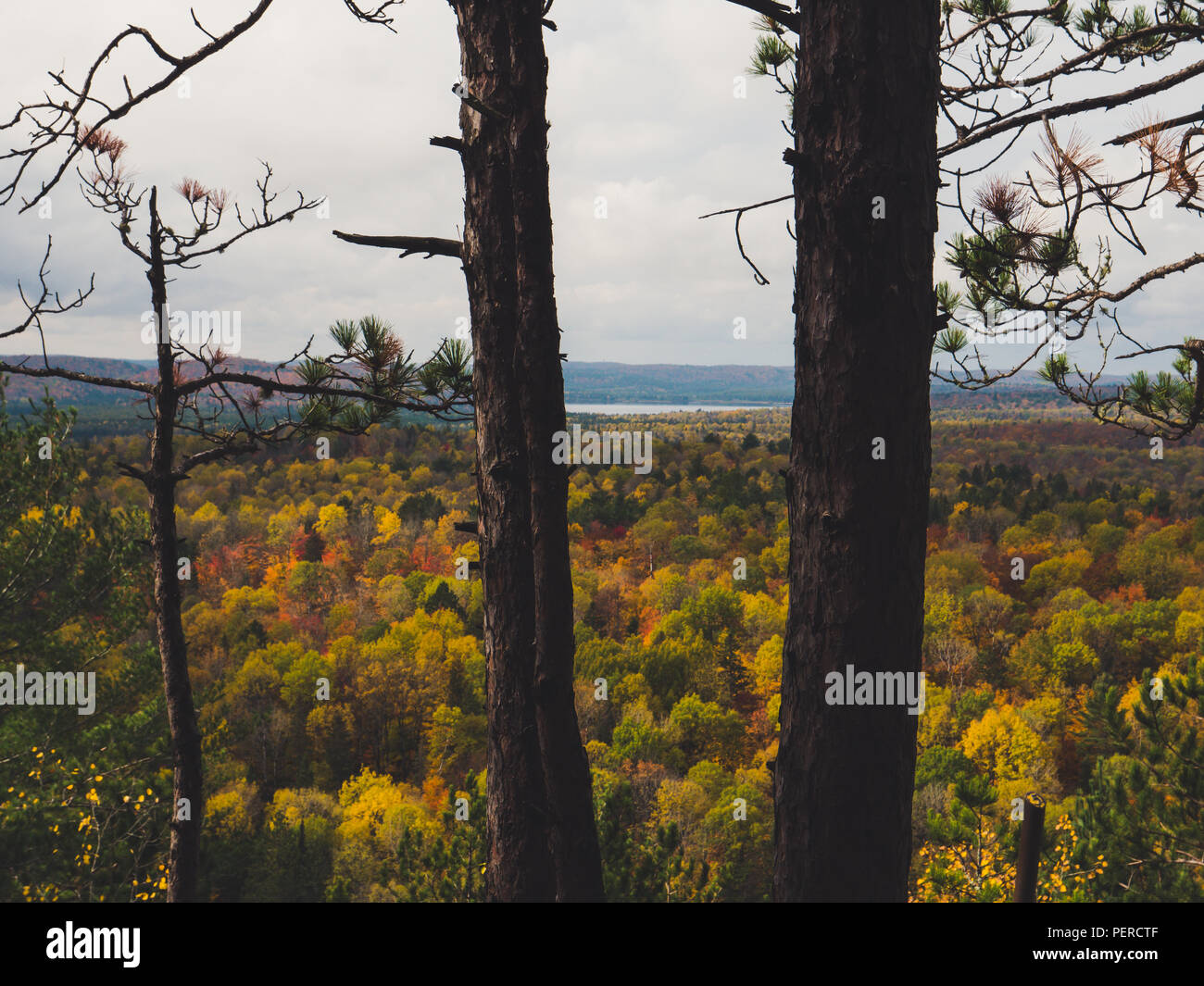 view over Fall forest and lake with colorful trees from above in ...