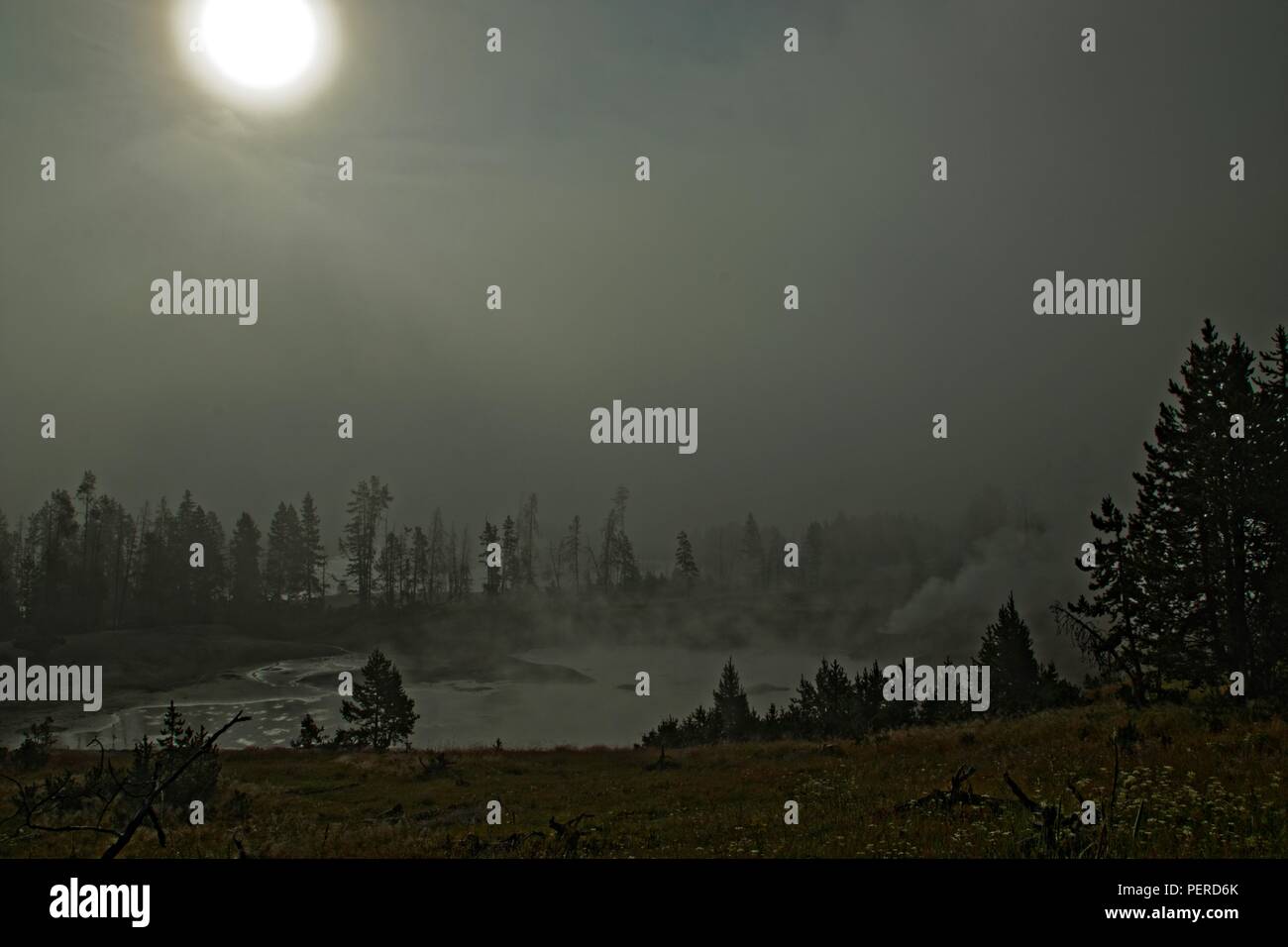 a foggy morning in the mud vulcano geysir area in the yellowstone ...