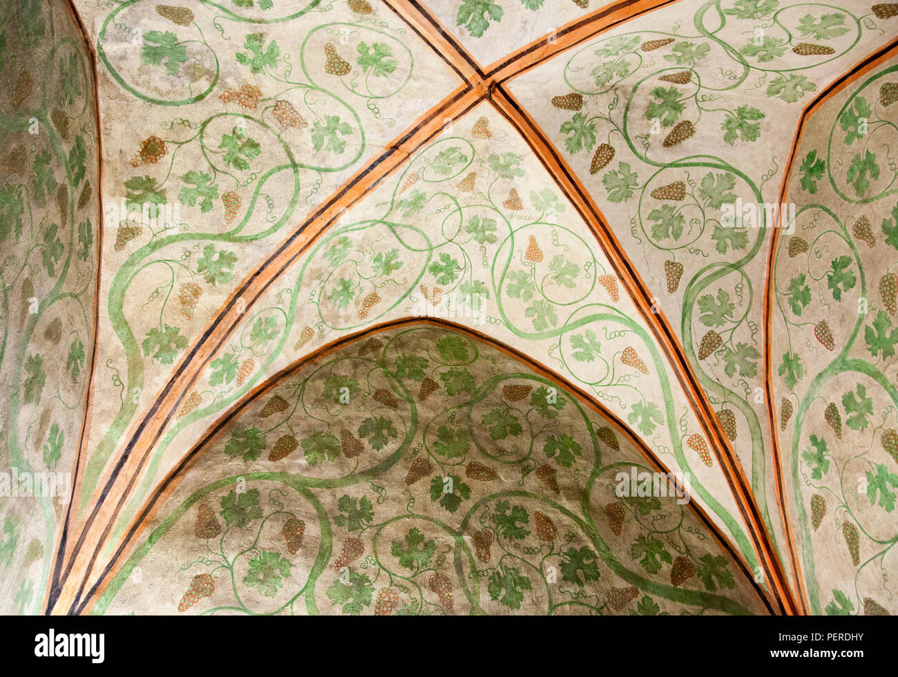 The gothic style ceiling painted in green color inside medieval castle ...