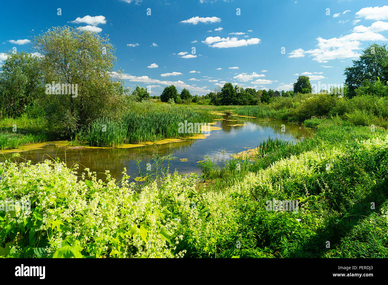 Year landscape with stream on background blue sky with white cloud ...