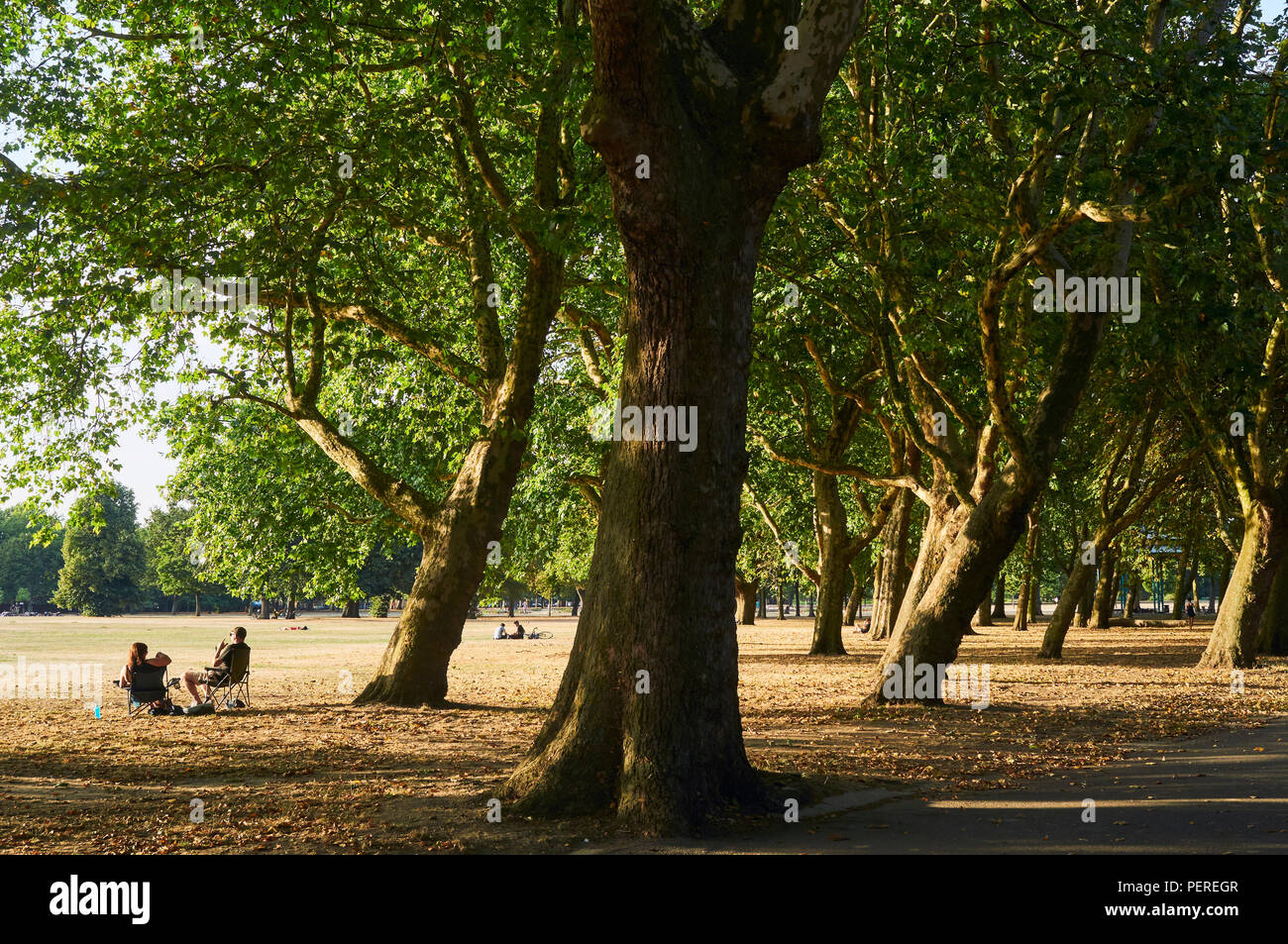 People sitting in the sunshine amongst trees in Victoria Park, East ...