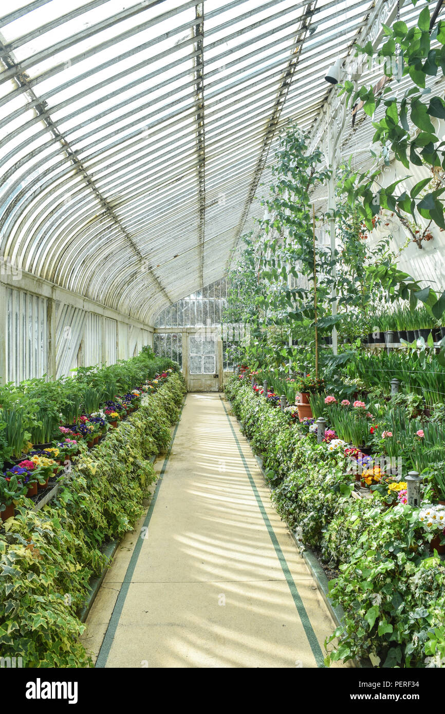 Discover fauna hi-res stock photography and images - Alamy