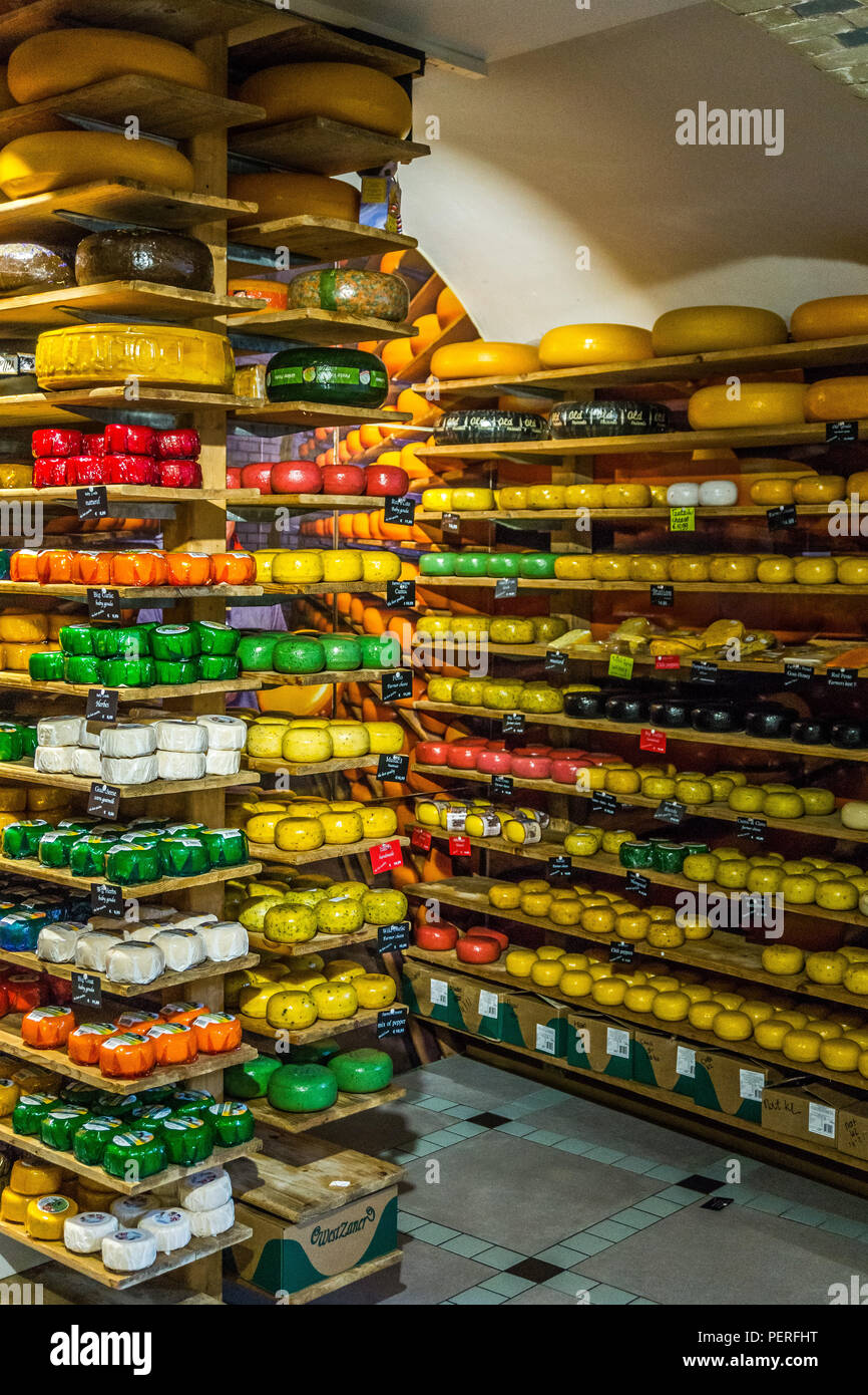 A selection of chesse on display on shelves in a cheese shop, Amsterdam ...