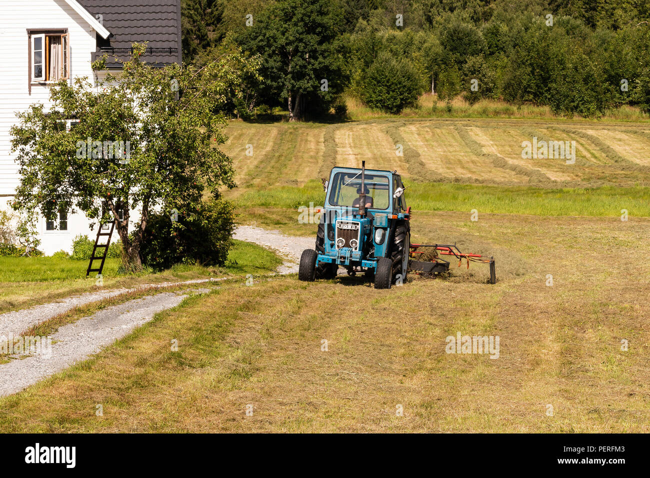 Farmers Cutting Harvesting Hay High Resolution Stock Photography and ...