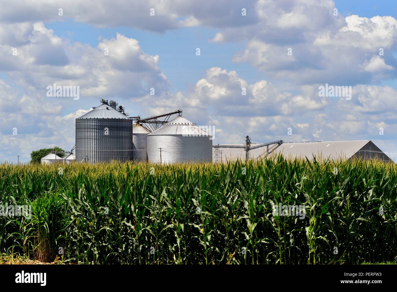 Creston, Illinois, USA. Modern metal crop storage tanks make up a ...