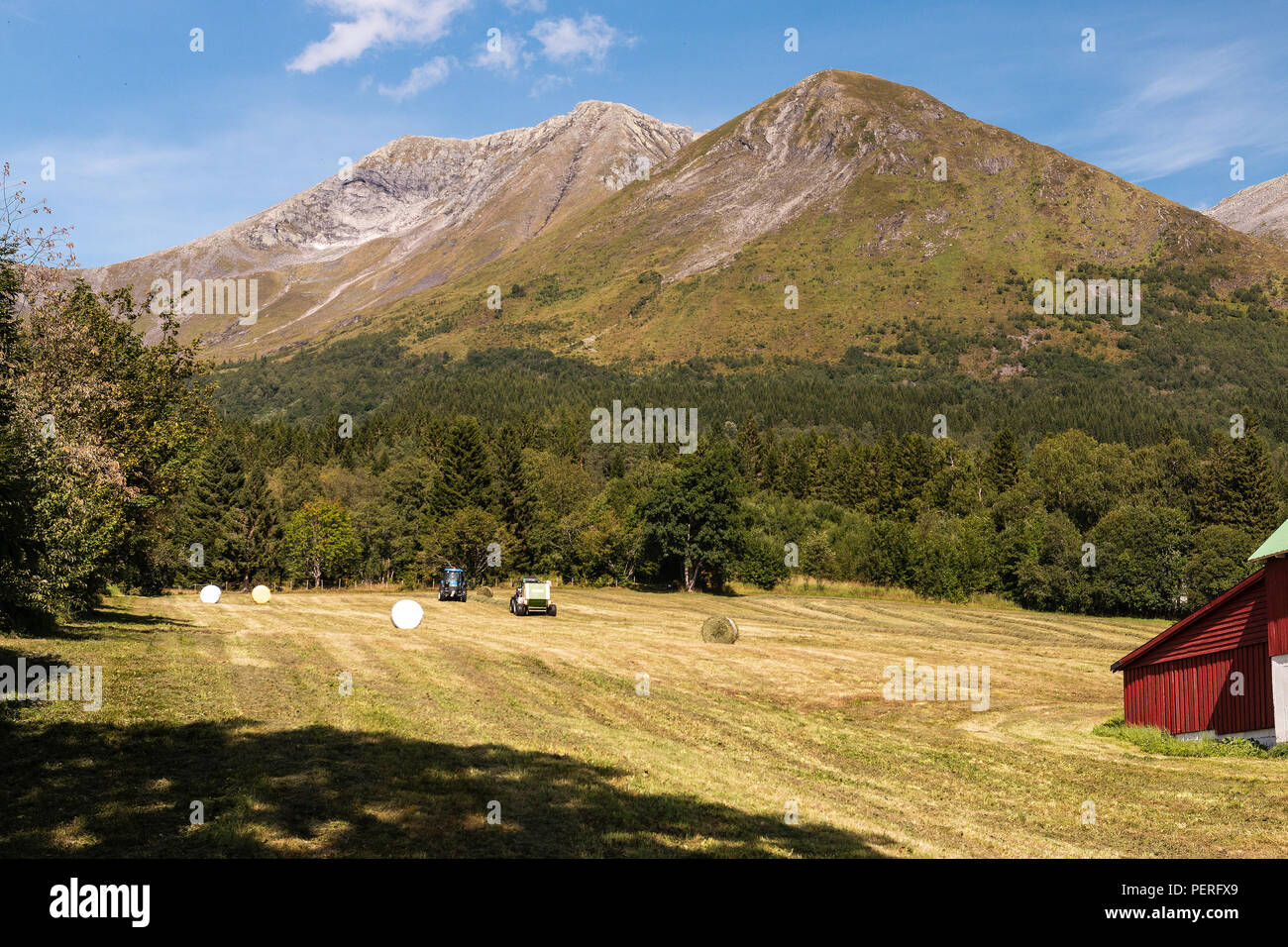 Harvesting.Doing haylage, preferred by small scale farmers involves a ...